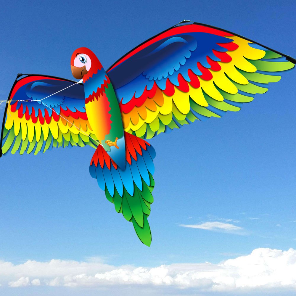 Kites – Fun & Colourful Flying Kites for All Ages | Aussie Hobbies ...