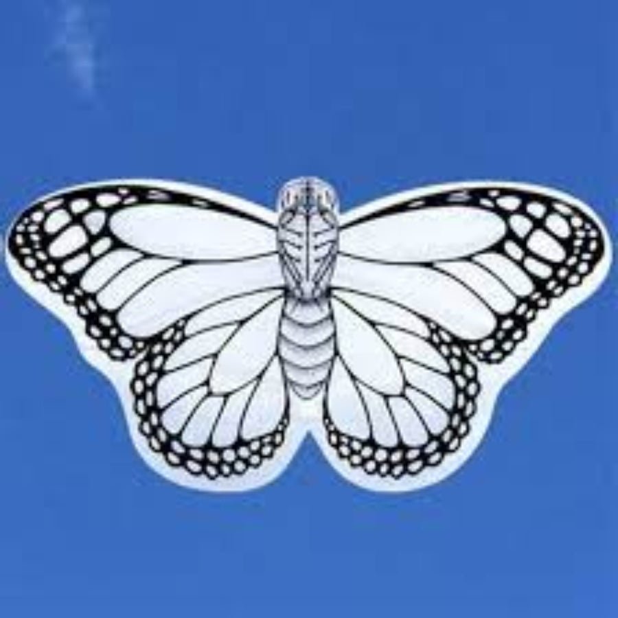 DIY Colour In Butterfly Kite | Aussie Hobbies - Toy Shop – Aussie Hobbies